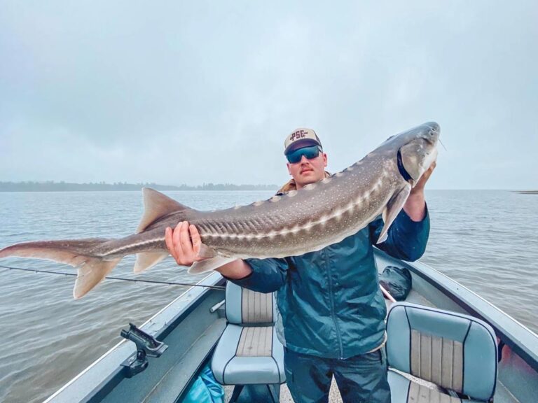 Fishing Seasons in Oregon: The Complete Guide for 2026