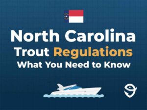 North Carolina Trout Fishing Regulations