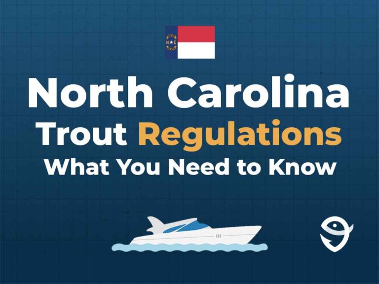 North Carolina Trout Fishing Regulations
