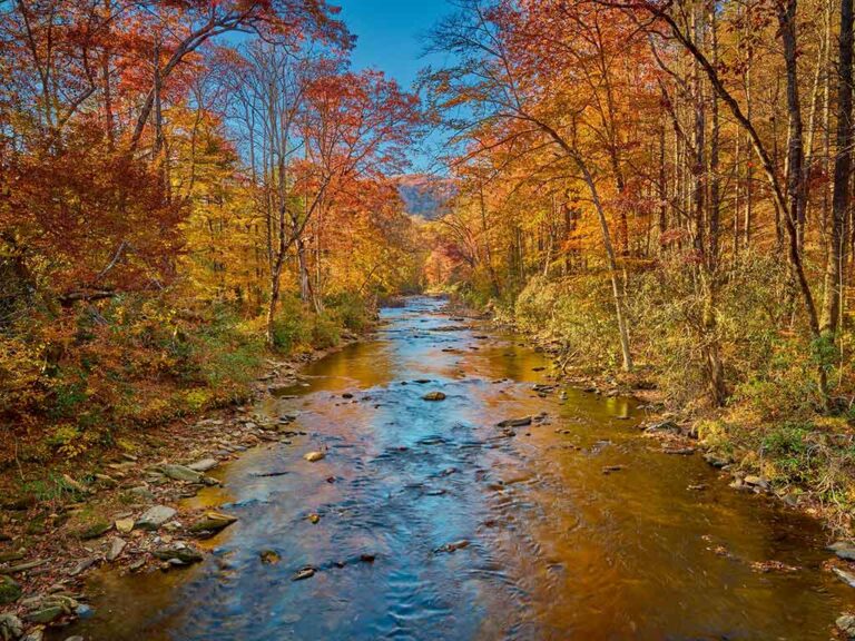 Western North Carolina Streams