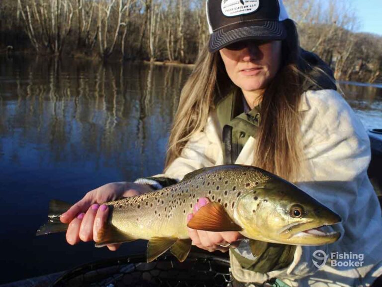 Photo courtesy of Ellis Ward Guide Service