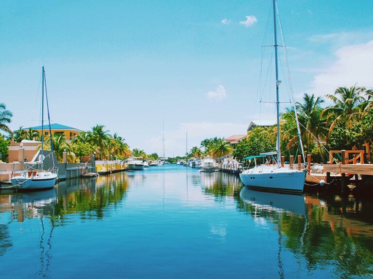 Key West Marlin Fishing: An Angler’s Guide for 2024