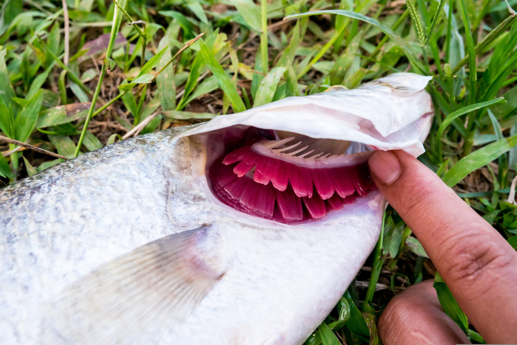 FishingBooker: Fishing Terms Every Angler Should Know