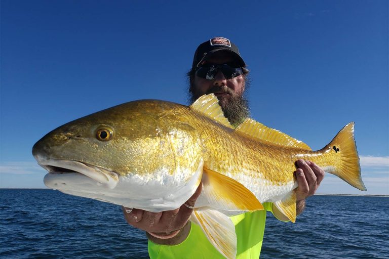 Fishing in GULF SHORES: The Complete Guide