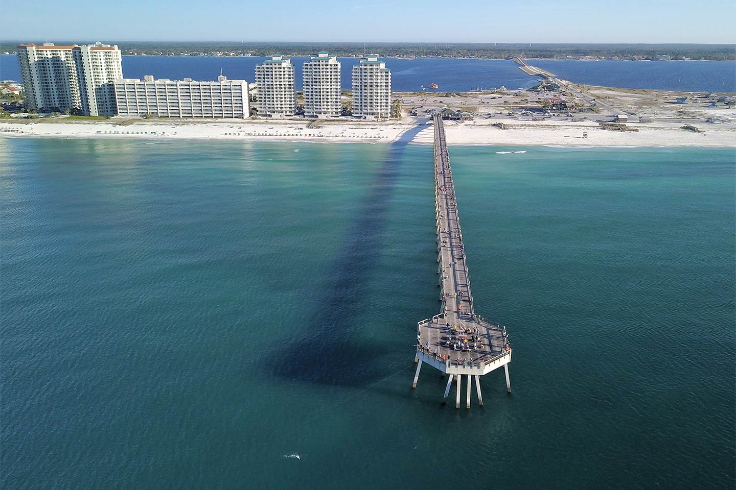 Fishing in DESTIN: The Complete Guide [VIDEO]