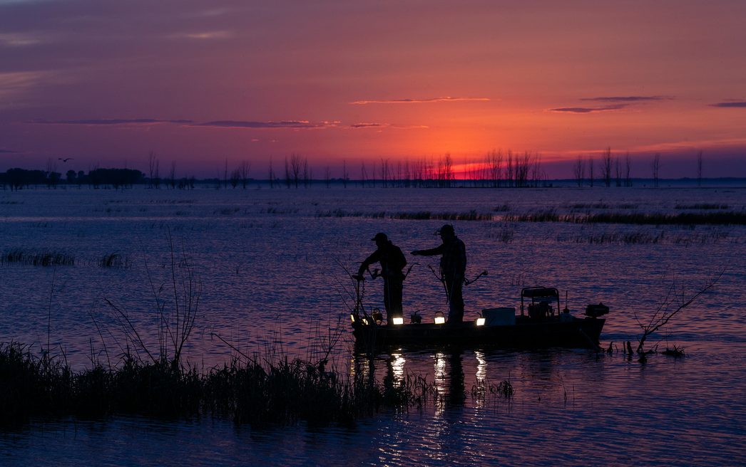 How to Go Bowfishing: The Complete Guide for 2025