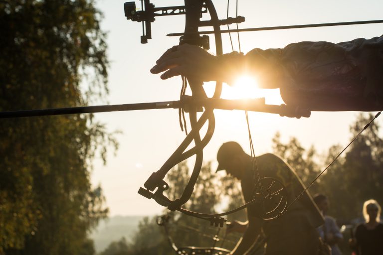 How to Go Bowfishing: The Complete Guide for 2026