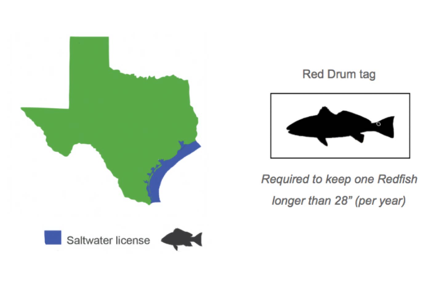 Fishing in TEXAS: The Complete Guide