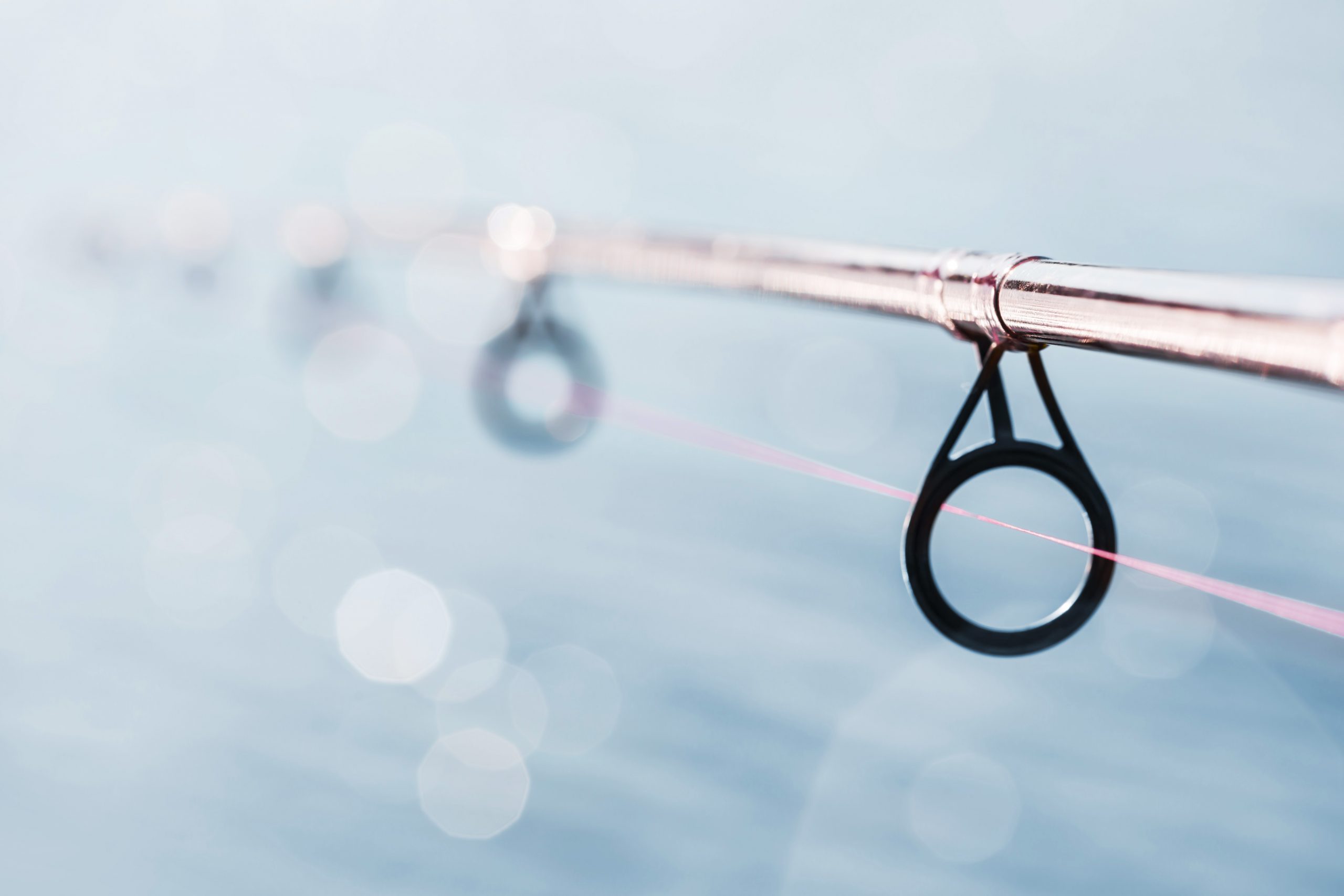 Pier Fishing Tips for Beginners for 2025