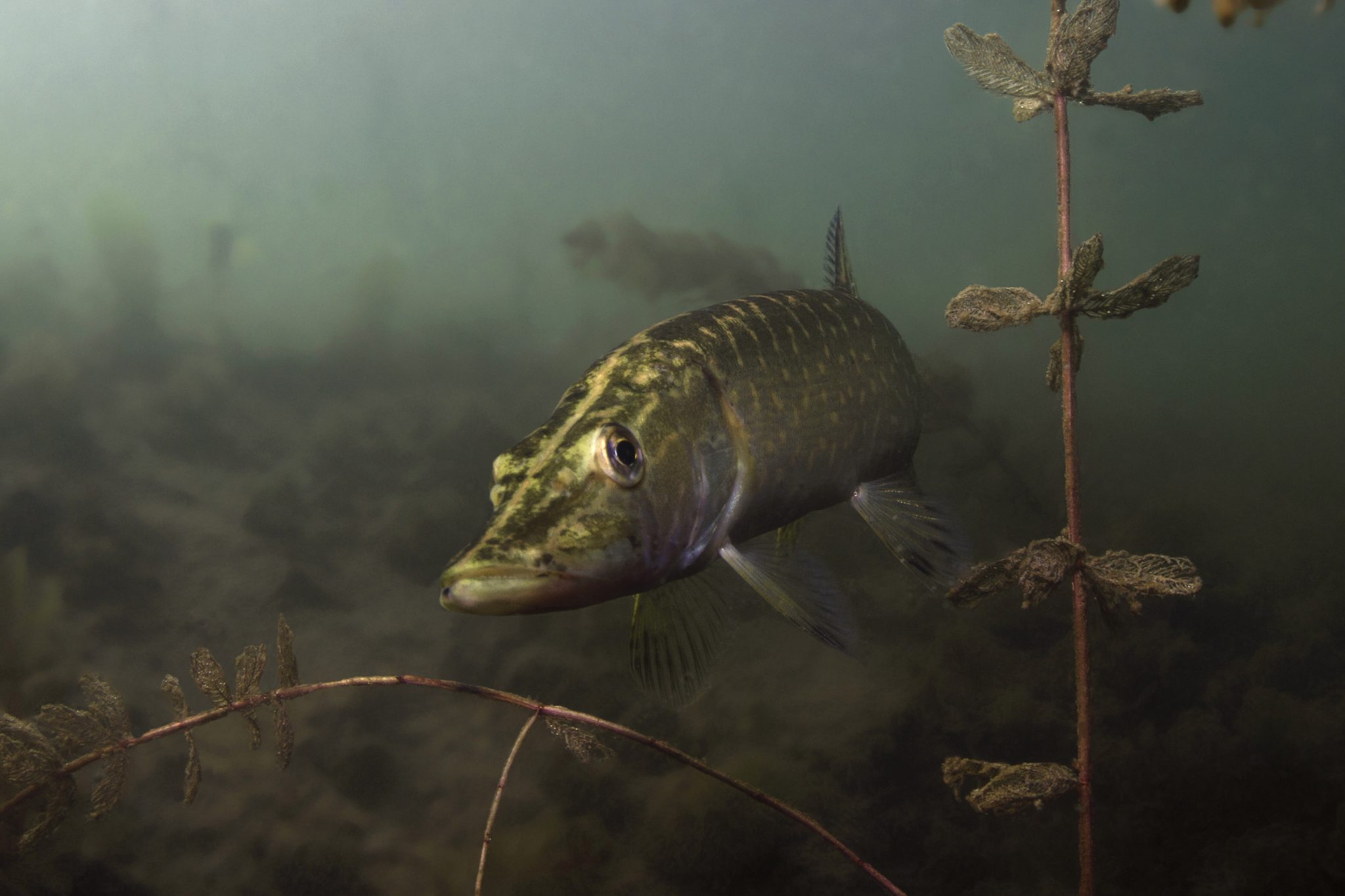 Fishing Terms Every Angler Should Know