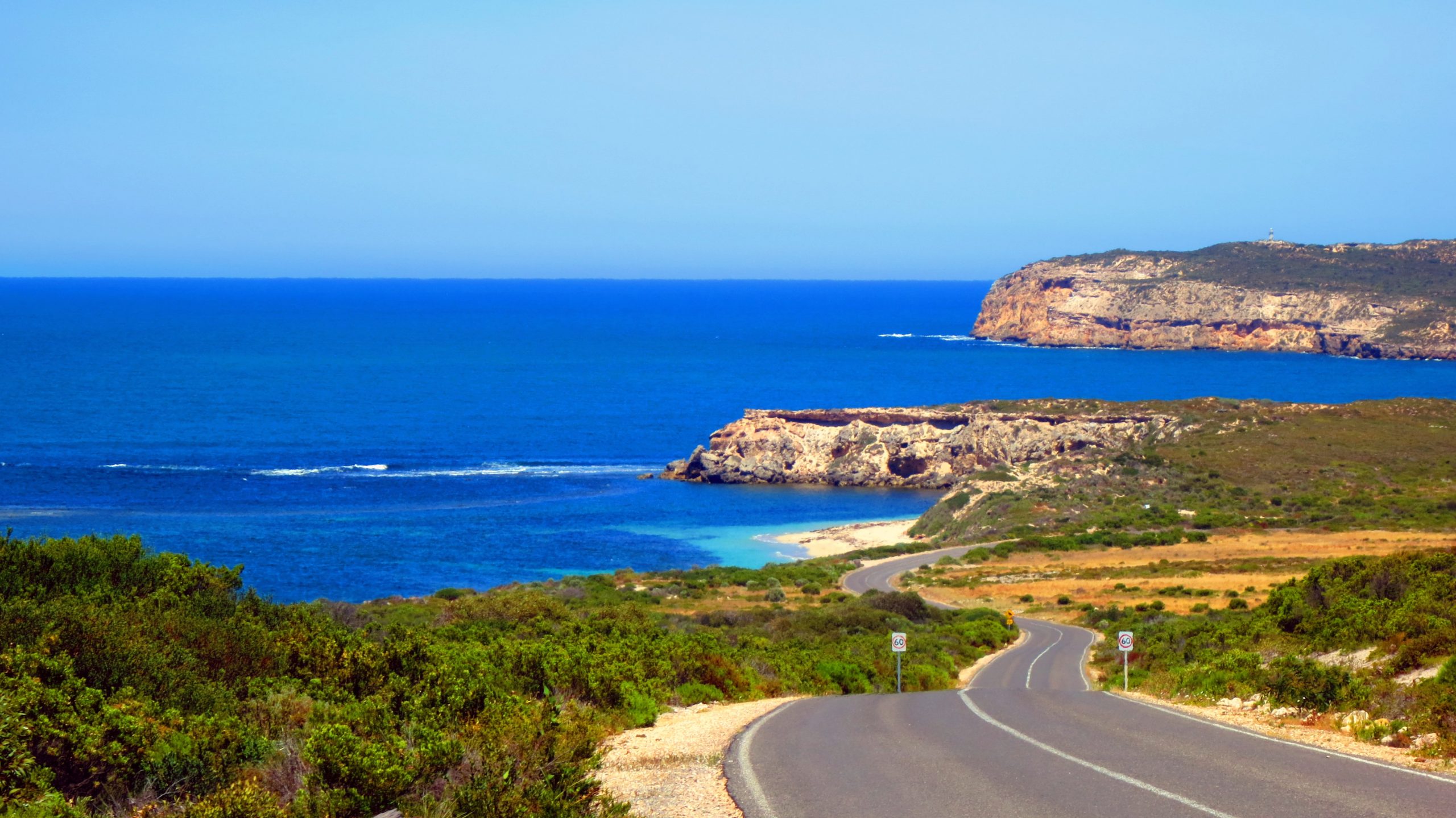 Snapper Ban in South Australia: The Whole Picture for 2025