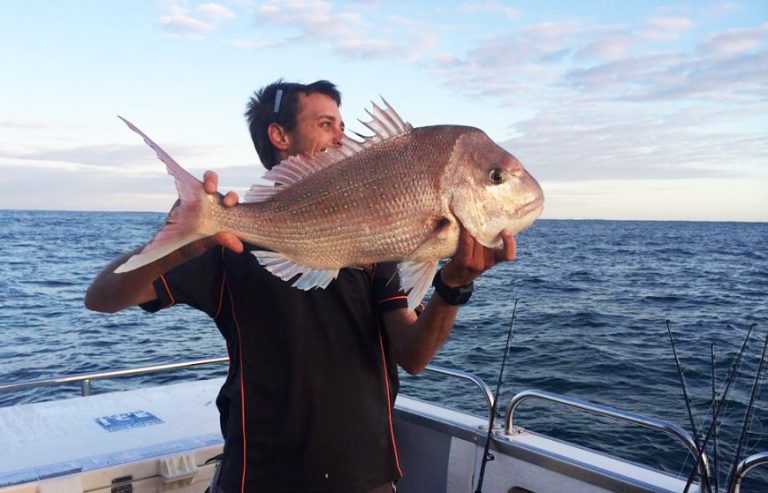 FishingBooker: Snapper Ban in South Australia: The Whole Picture