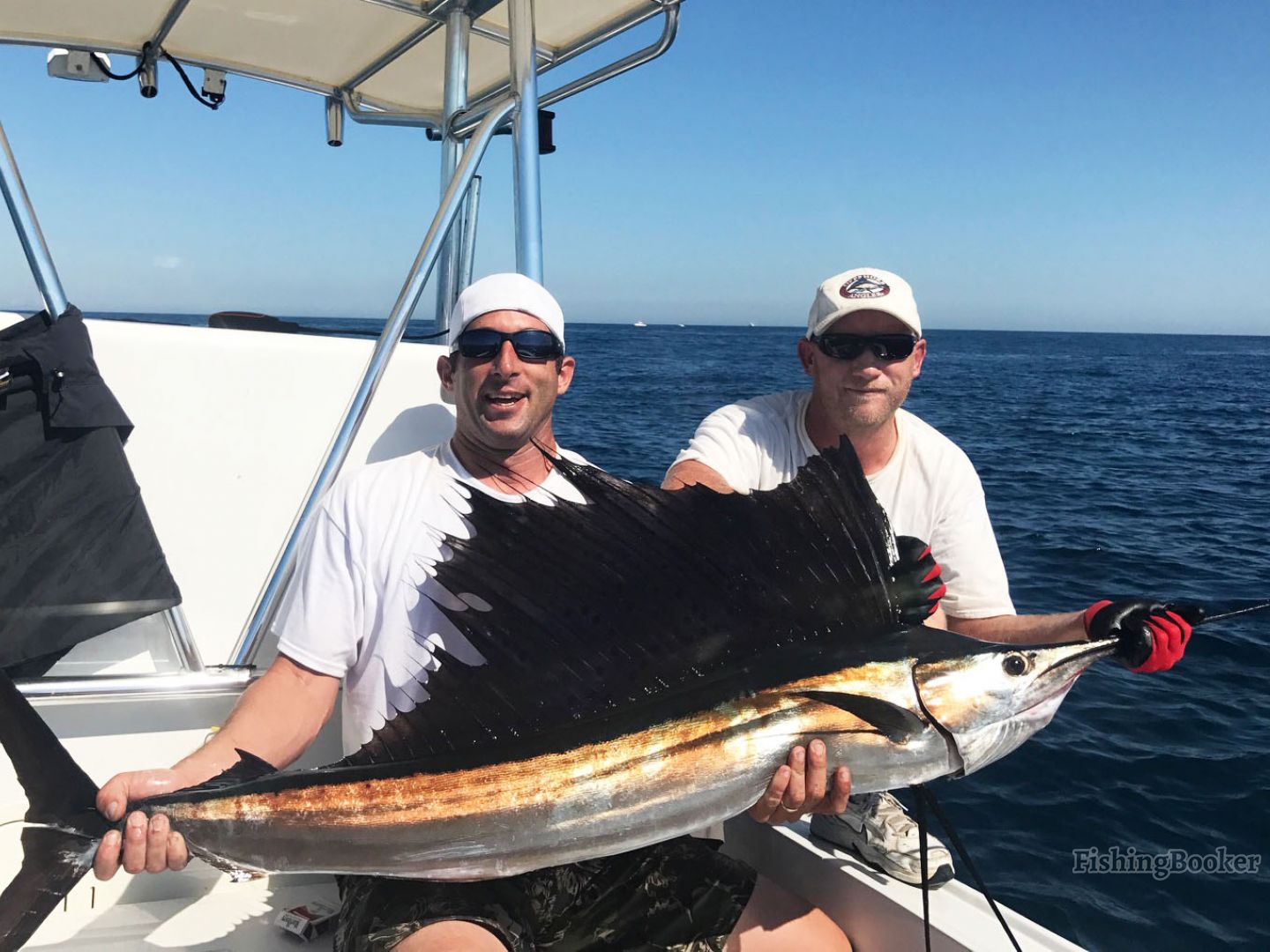 Fishing in SAILFISH ALLEY: The Complete Guide
