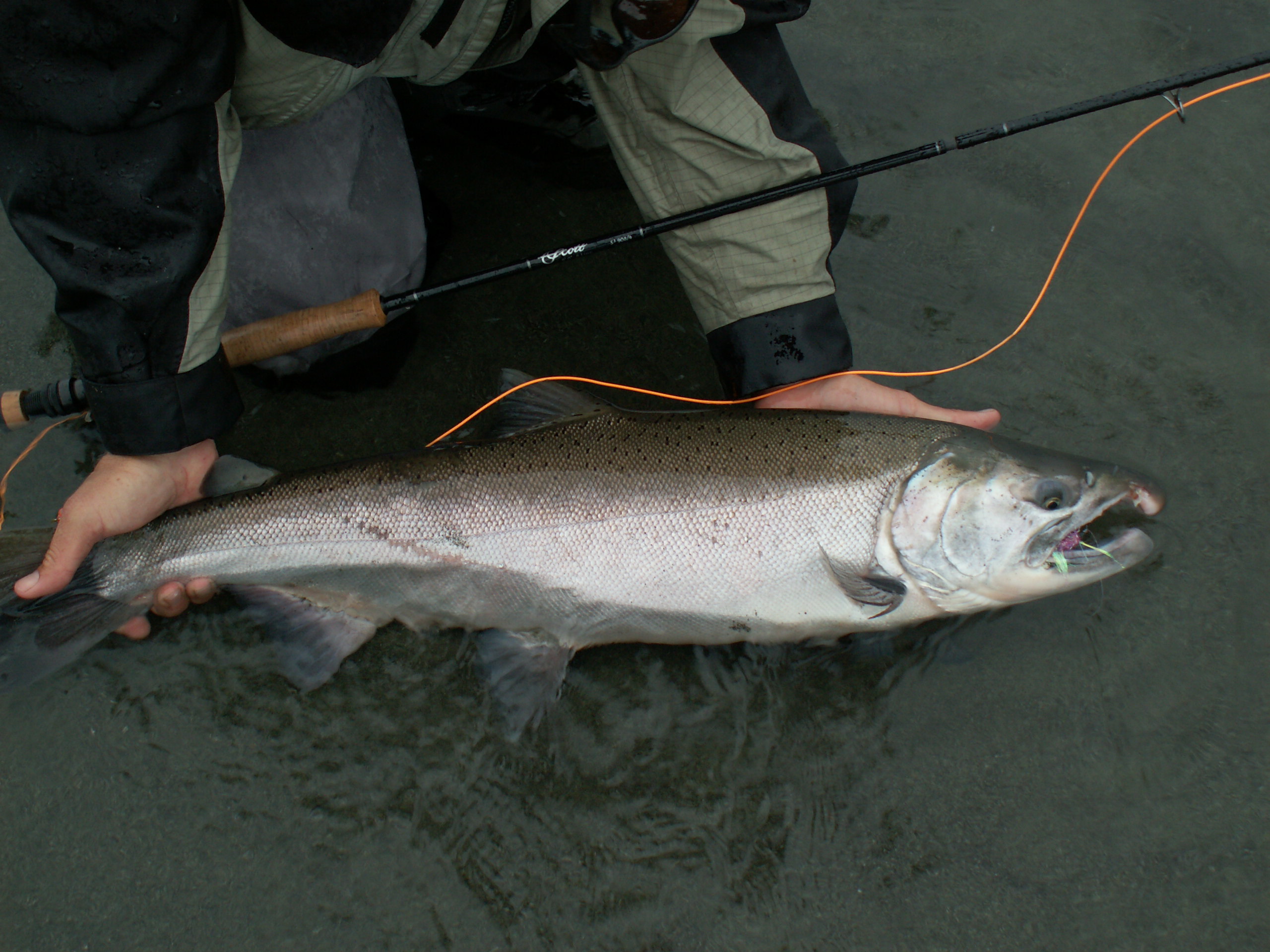How to Fish for Salmon in Alaska: The Complete Guide for 2025