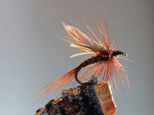 Best Bait for Trout: An Angler’s Guide