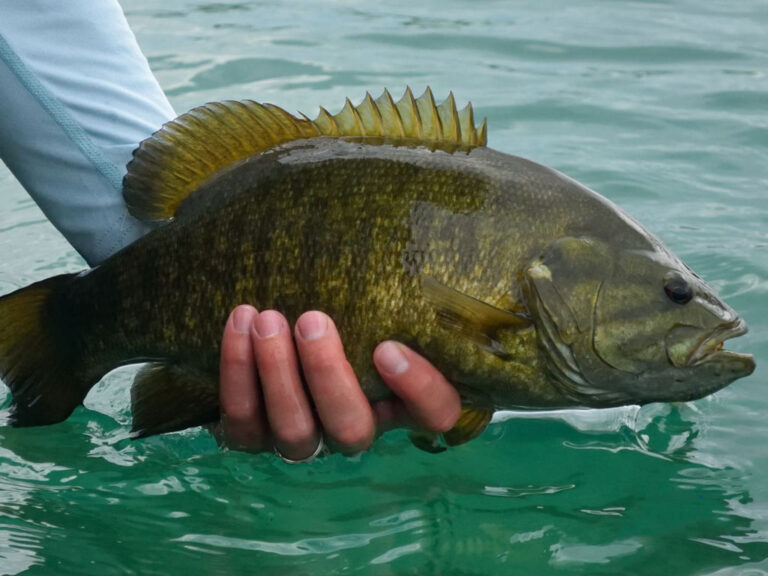 Fishing Seasons in Connecticut: The Complete Guide for 2025