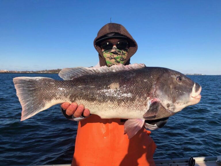 How to Go Tautog Fishing: The Complete Guide for 2024
