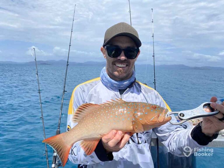 Fishing in GREAT BARRIER REEF: The Complete Guide