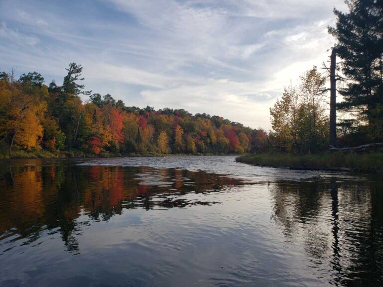 Minnesota State Record Fish: The Complete Guide for 2026