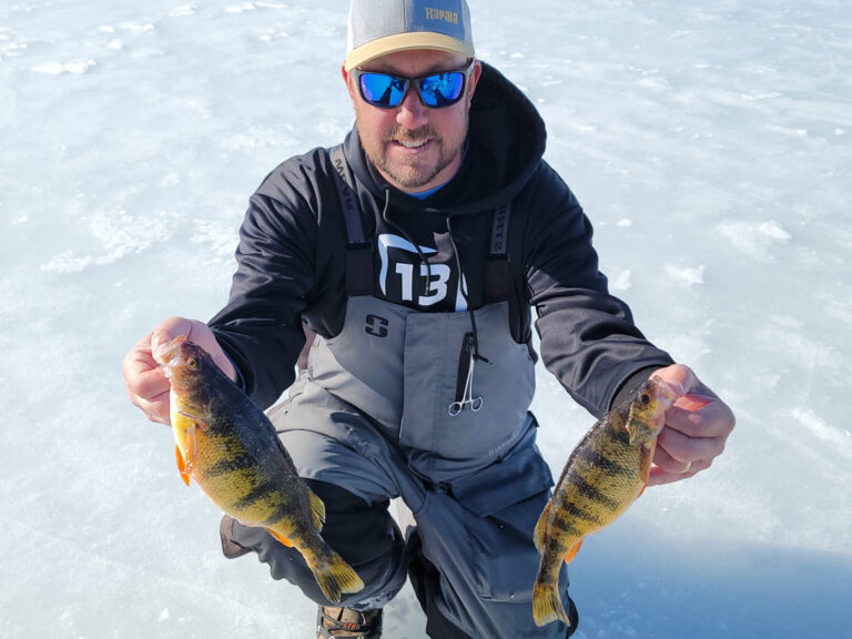 The Best Perch Bait: An Angler’s Guide for 2026