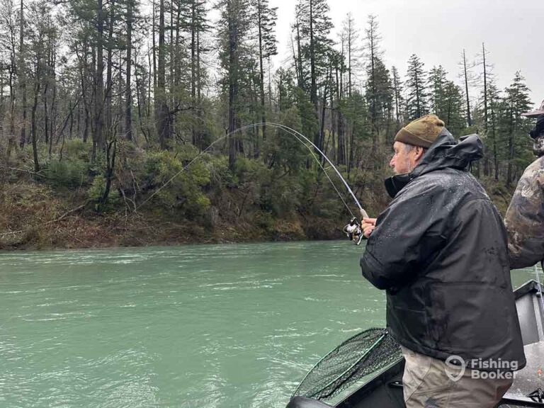 Salmon Fishing Lures: An Angler’s Guide for 2026