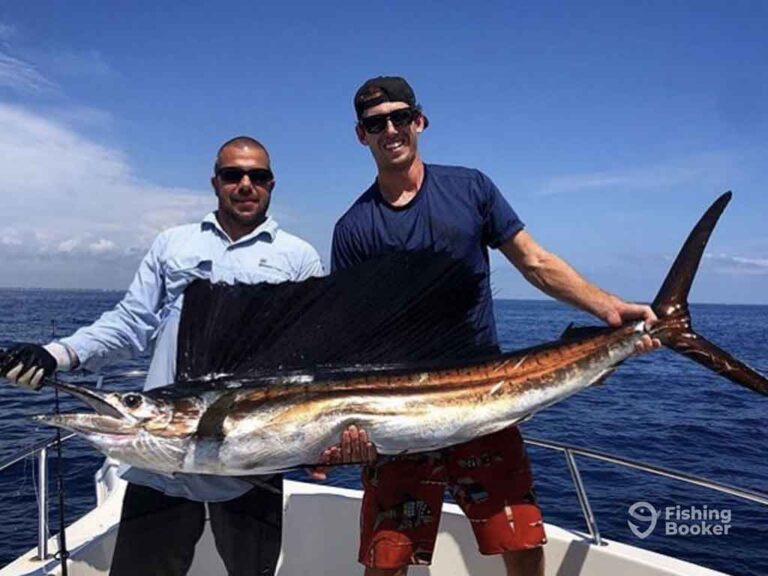 Fishing in BOYNTON BEACH: The Complete Guide [VIDEO]