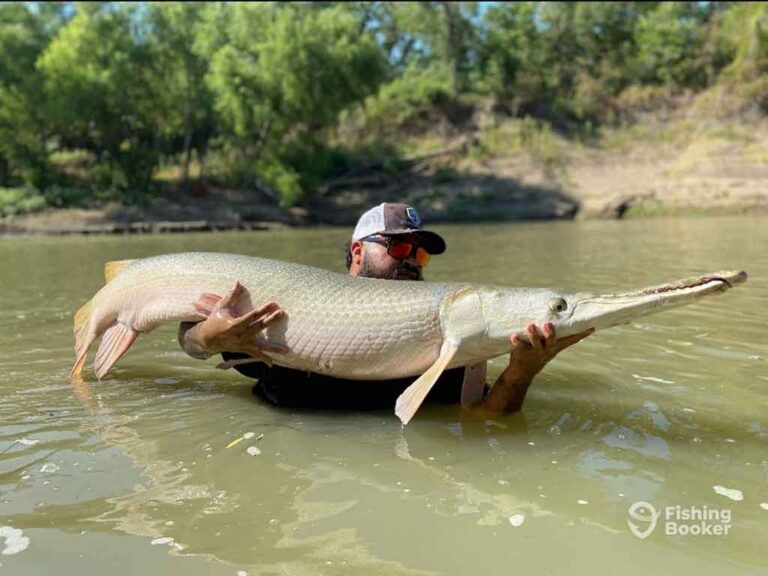 Biggest Freshwater Fish: The World’s Heavyweight Hitters Revealed!