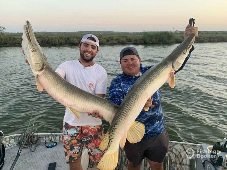 How to Go Fishing for Alligator Gar: An Angler’s Guide for 2024