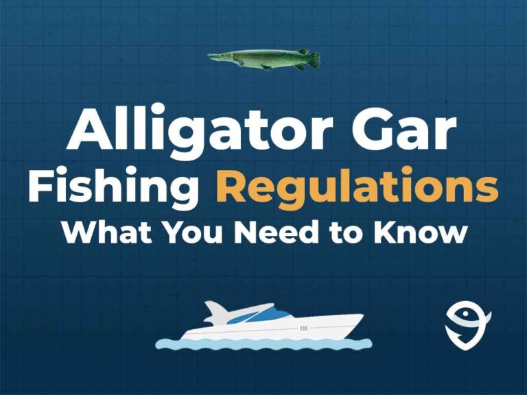 How to Go Fishing for Alligator Gar: An Angler’s Guide for 2026