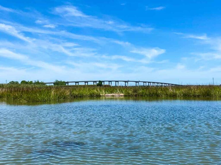 How to Go Fishing for Alligator Gar: An Angler’s Guide for 2026