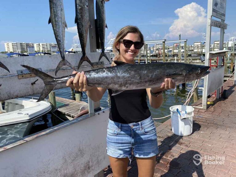 How to Fish for Kingfish: An Angler’s Guide for 2026