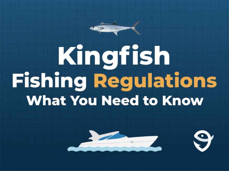 How to Fish for Kingfish: An Angler’s Guide for 2024