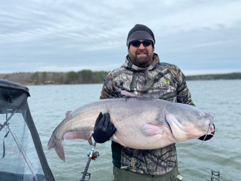 North Carolina State Record Fish: The Complete Guide