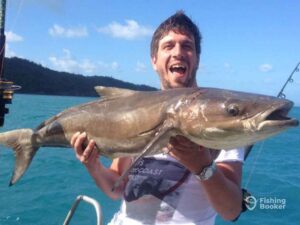 How to Go Fishing for Cobia: An Angler’s Guide for 2024