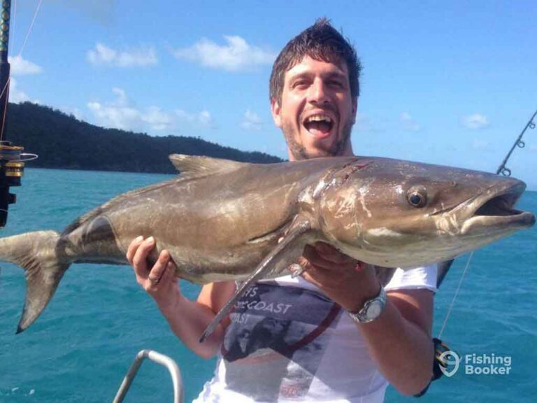 How to Go Fishing for Cobia: An Angler’s Guide for 2024