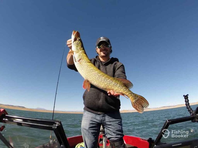 How to Go Pike Fishing: An Angler’s Guide for 2026