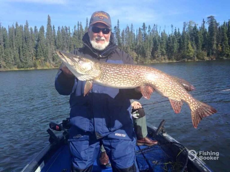 How to Go Pike Fishing: An Angler’s Guide