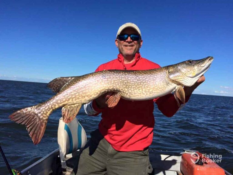 How to Go Pike Fishing: An Angler’s Guide for 2026
