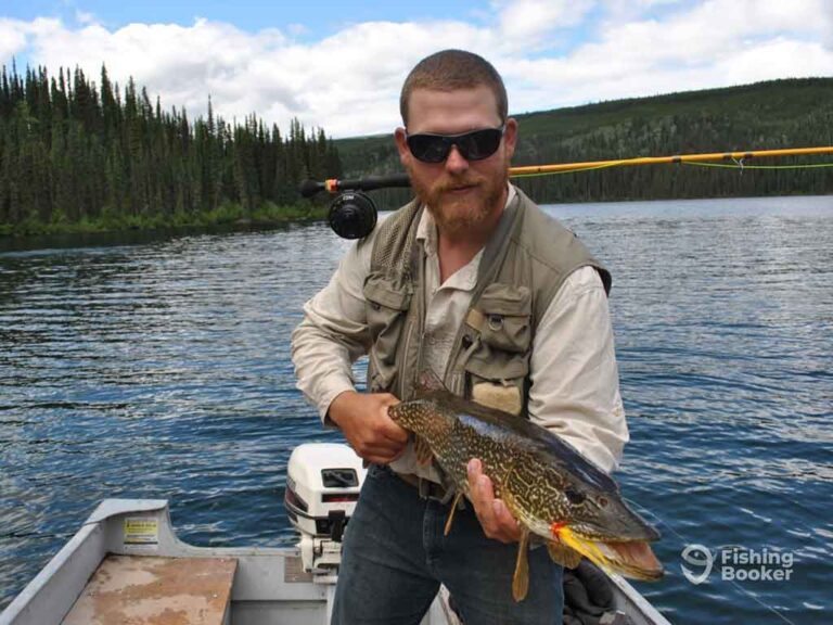 Northern Pike Fishing Lures: An Angler’s Guide for 2025