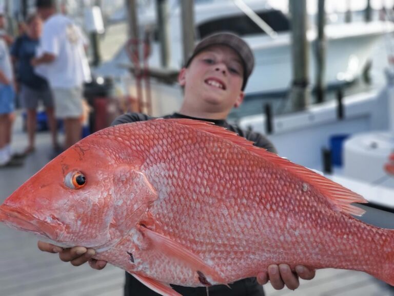 Florida State Record Fish: The Complete Guide