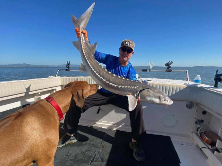 California State Record Fish: The Complete Guide