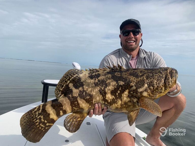 How to Go Grouper Fishing: An Angler’s Guide for 2026