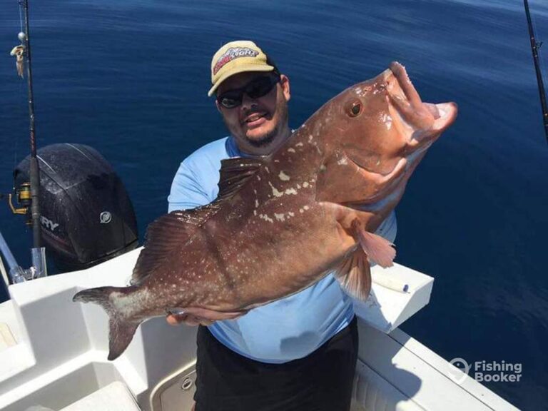 How to Go Grouper Fishing: An Angler’s Guide for 2026