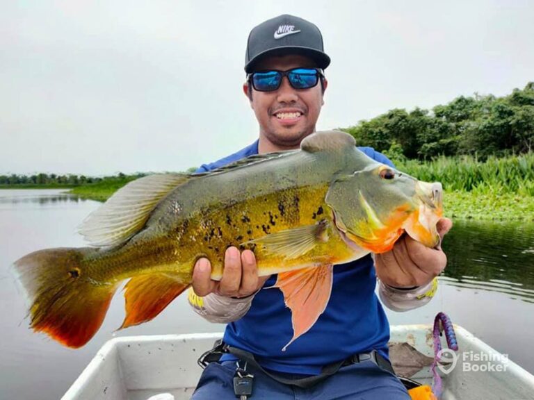 Fishing in MALAYSIA: The Complete Guide
