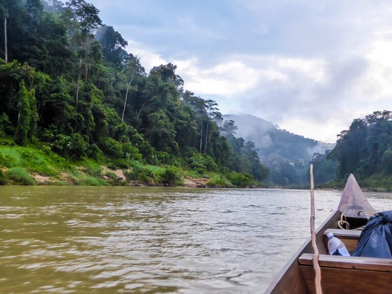 Fishing in MALAYSIA: The Complete Guide