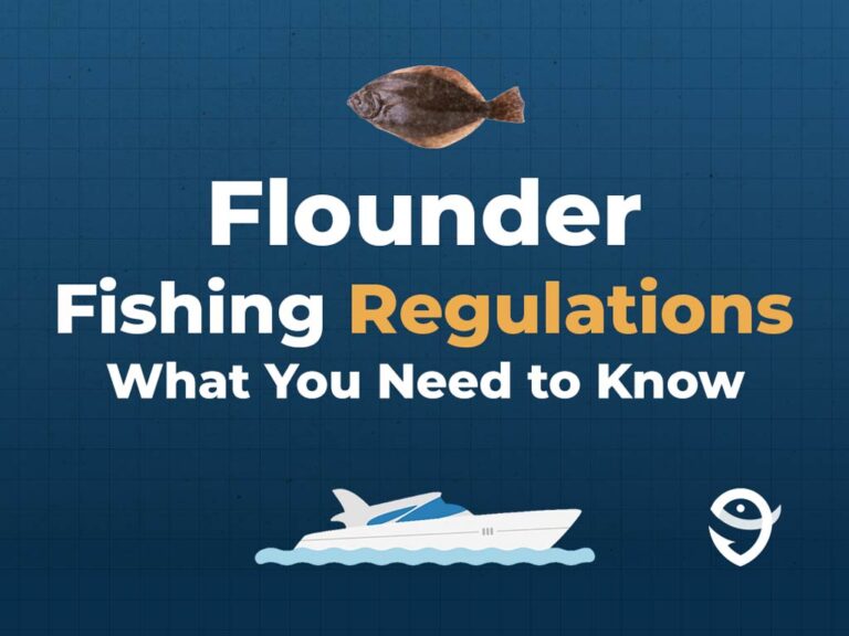 How to Catch Flounder from Shore: An Angler’s Guide for 2026