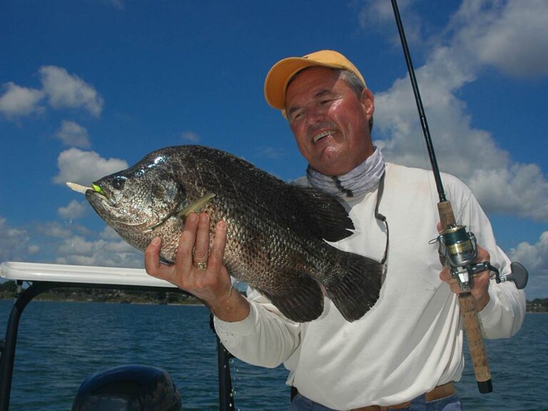 How to Go Tripletail Fishing: An Angler’s Guide for 2026
