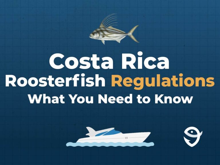 Costa Rica Roosterfish Fishing Regulations