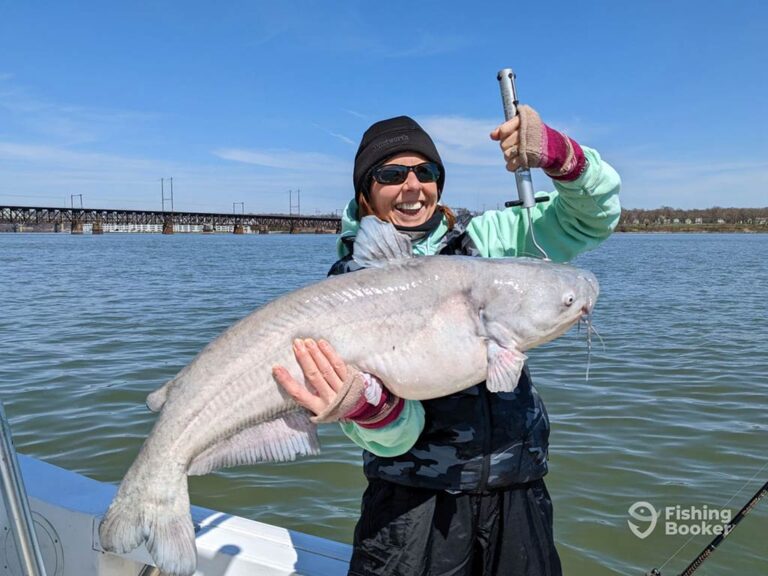 The Best Catfish Bait: An Angler’s Guide for 2025