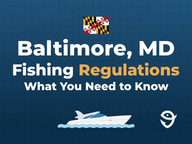 Fishing in BALTIMORE: The Complete Guide